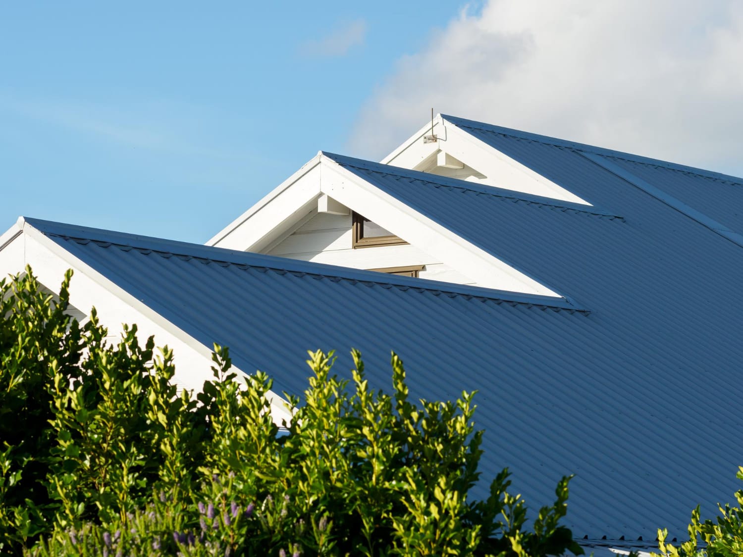 What Type of Roof Do I Have? A Quick Guide for Homeowners